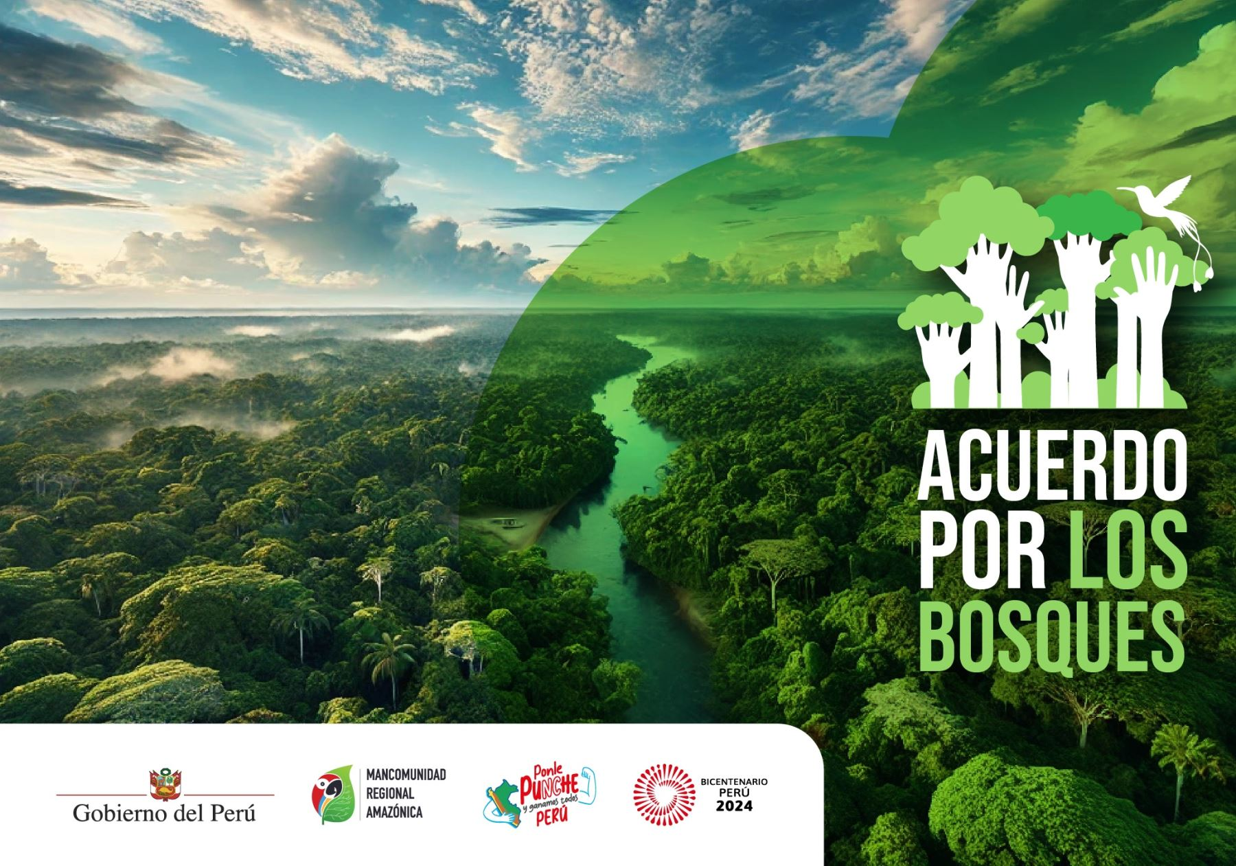 Acuerdo para la sostenibilidad de los bosques amazónicos: un paso clave ...
