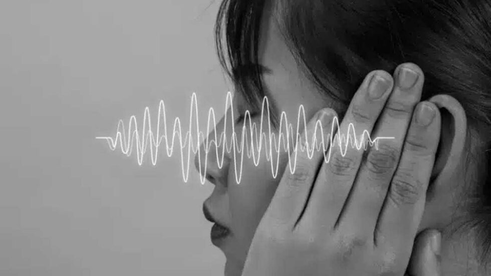 Sound Screw: El Tornillo Sueco que Revoluciona la Insonorización de ...