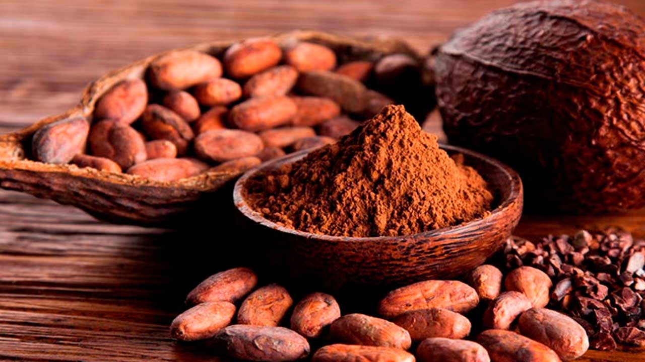 Las Mejores Marcas de Chocolates Peruanos: Sabor, Tradición y Calidad